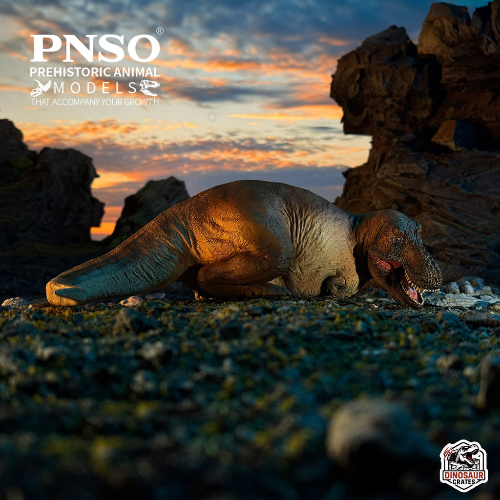 PNSO Andrea the Female Tyrannosaurus – Dinosaur Crates