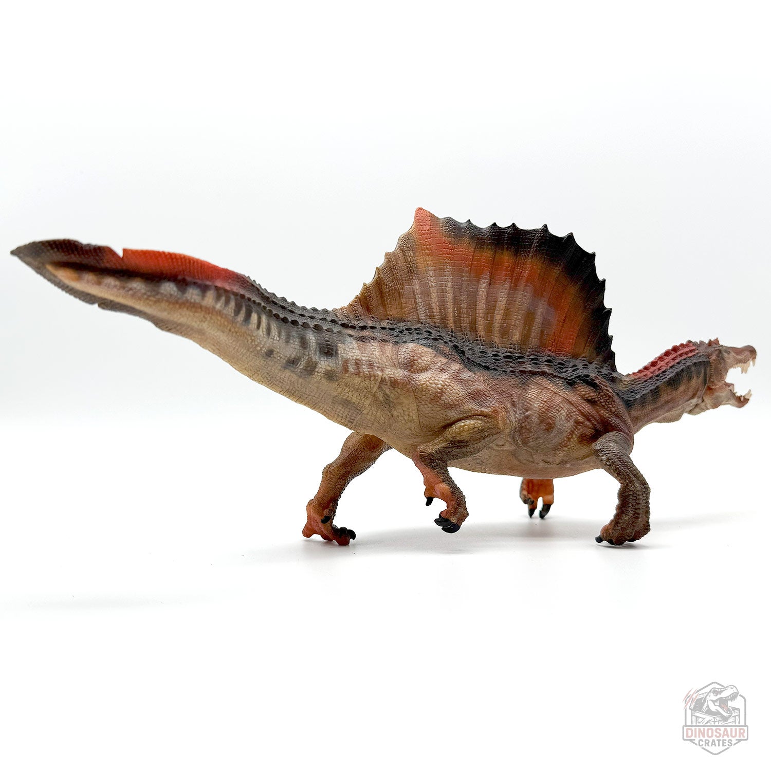 Papo Spinosaurus Dinosaur Figure – Dinosaur Crates